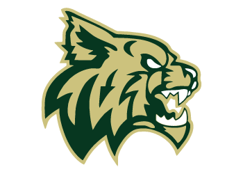 Home | Chisago Lakes Fastpitch